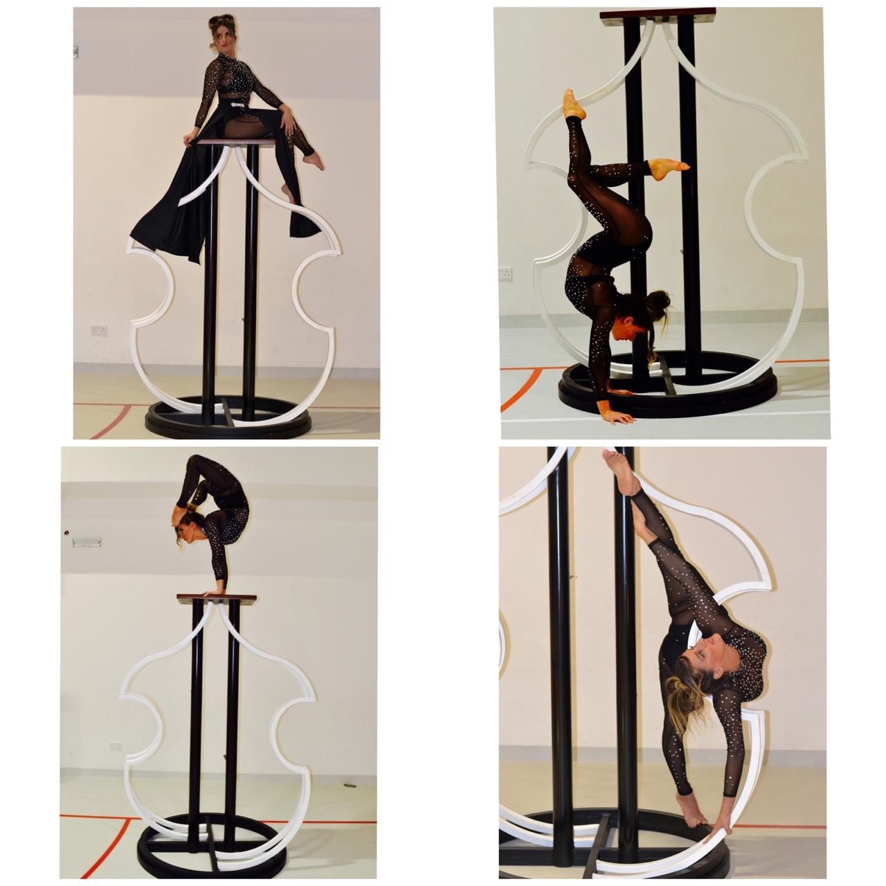 Cello Contortionist | Artists & More